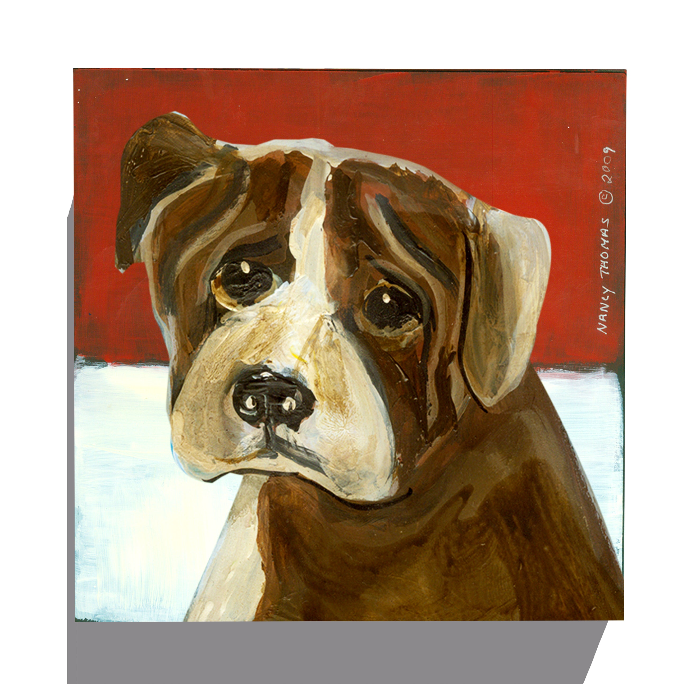 Boxer Dog Face